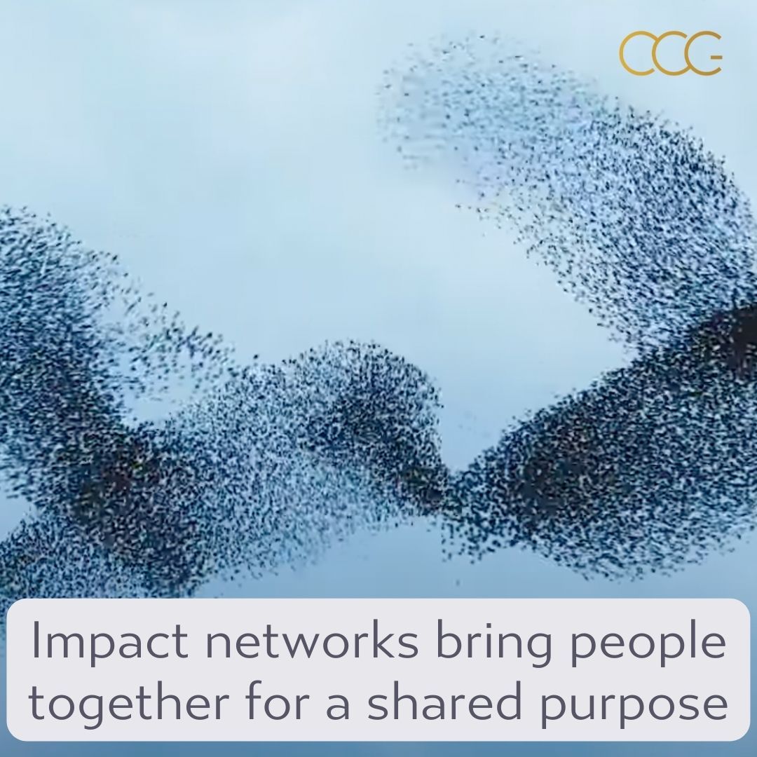 Conscious Consulting Group – Where Business Meets Wisdom